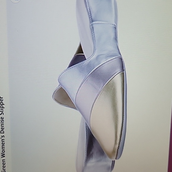 Daniel Green | Shoes | Daniel Green Denise Multicolor Gold Silver ...